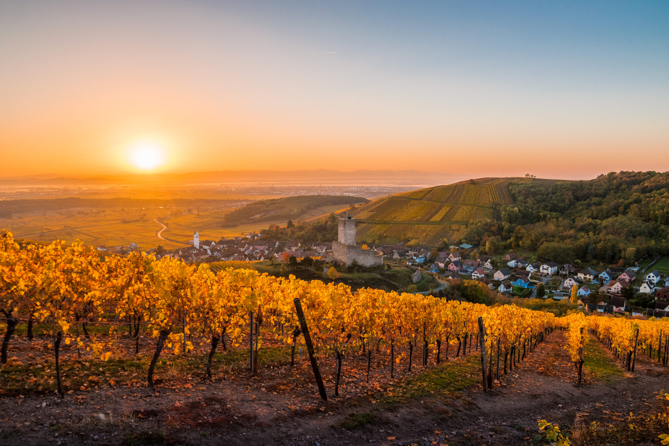La route des vins d’Alsace : Une expérience sublime à vivre | Hortense